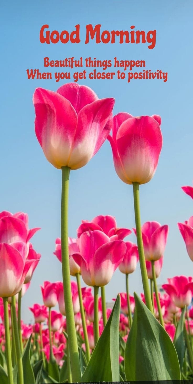 Good Morning Wishes Images With Quotes – sms.latestsms.in