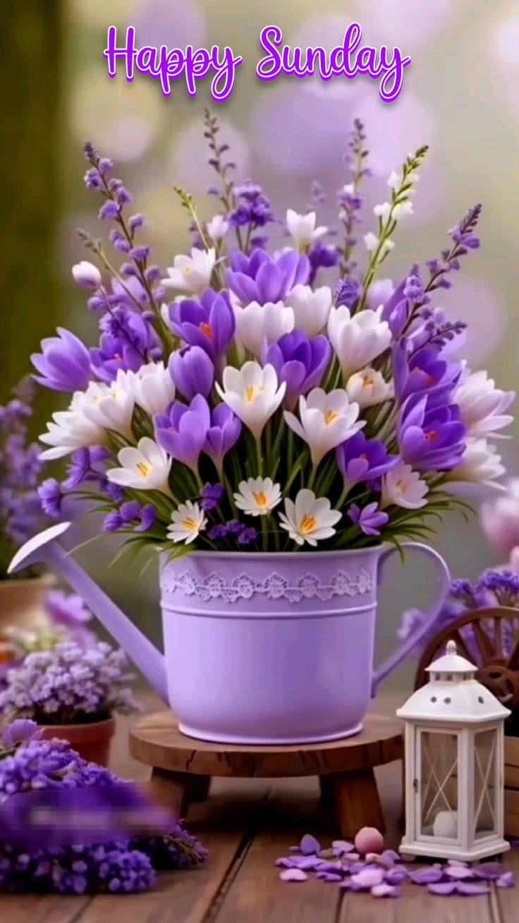 Happy Sunday Images to Share Warm Greetings And Lovely Wishes – sms ...